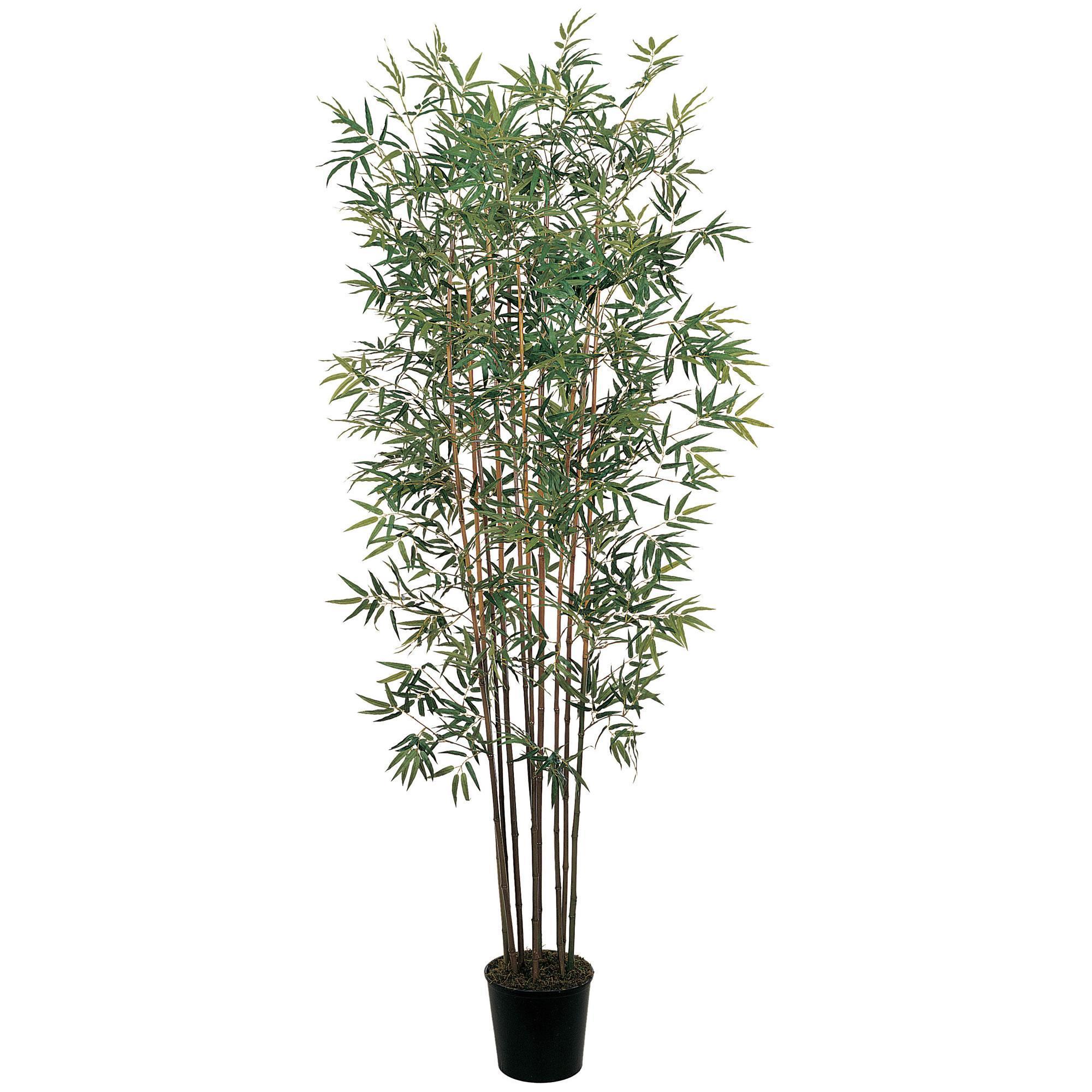 6' Mini Bamboo Silk Tree | SilkBlume