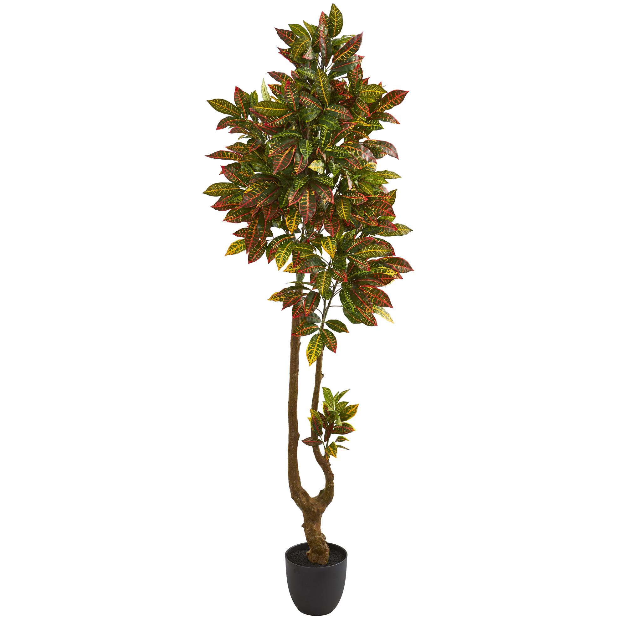 6' Croton Artificial Tree | SilkBlume