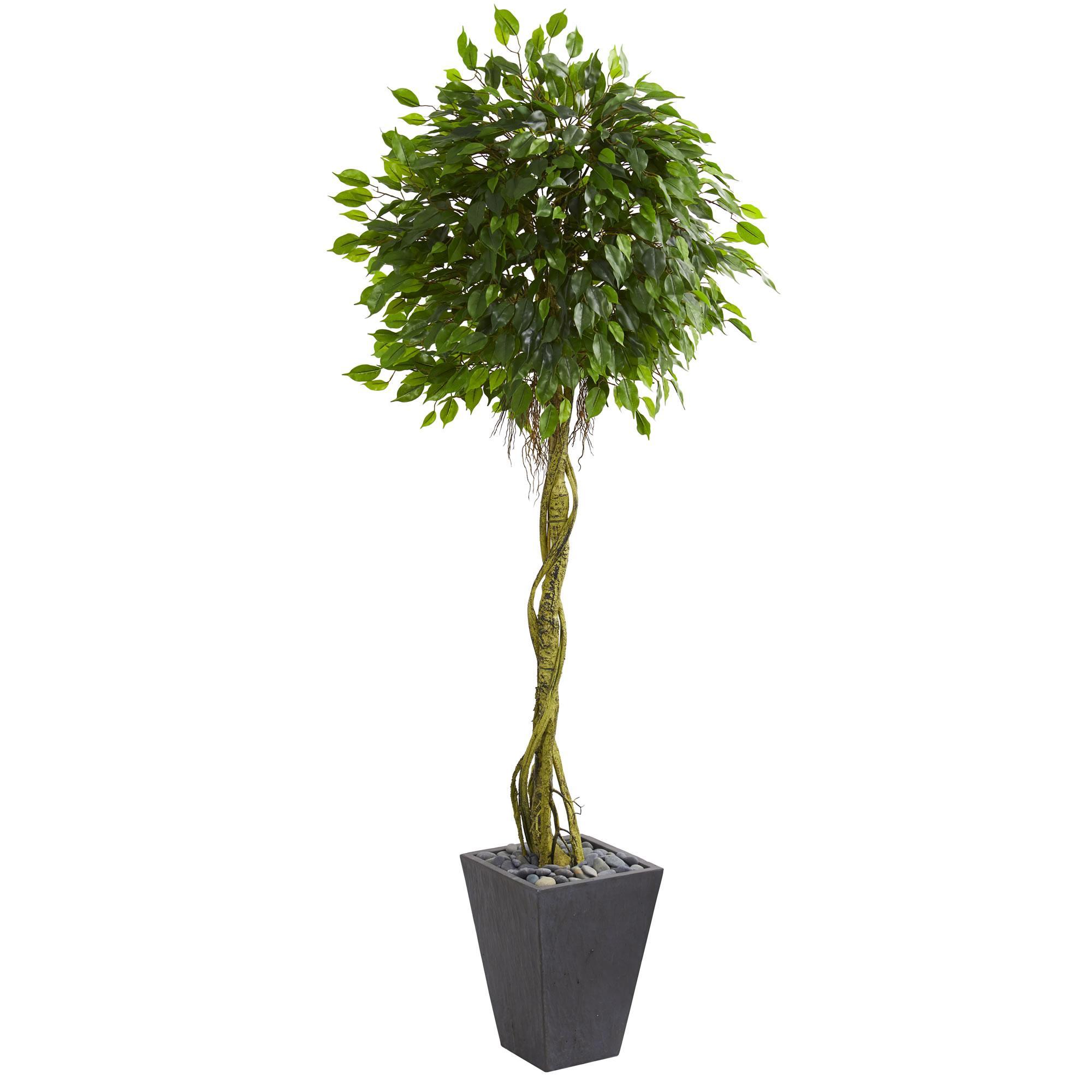 6' Ficus Artificial Tree in Slate Planter UV Resistant (Indoor-Outdoor ...