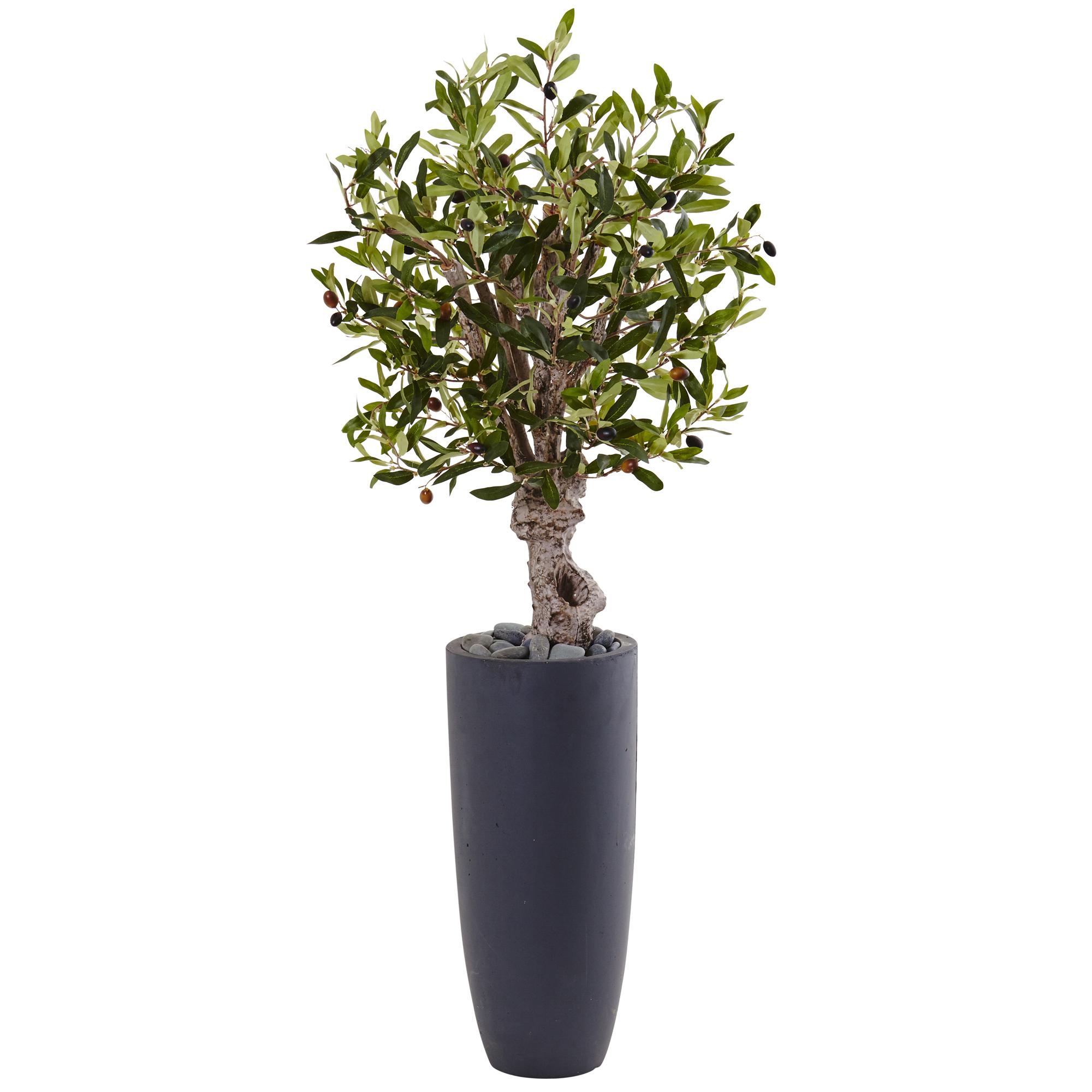 3.5' Olive Tree in Gray Cylinder Planter | SilkBlume