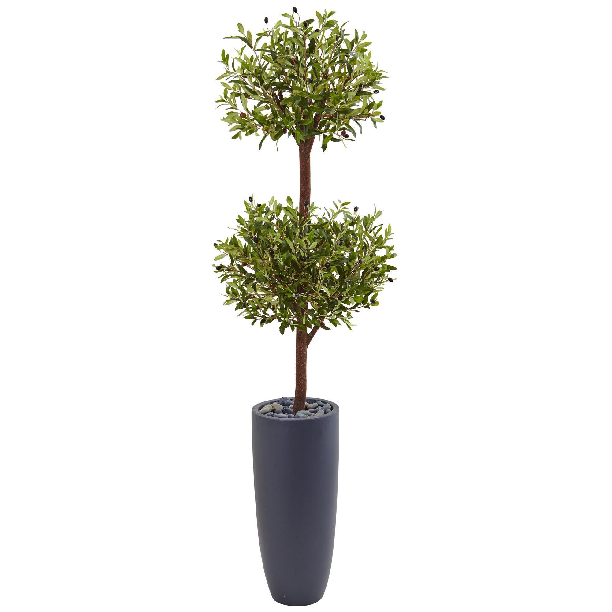 6' Olive Double Tree in Gray Cylinder Planter | SilkBlume