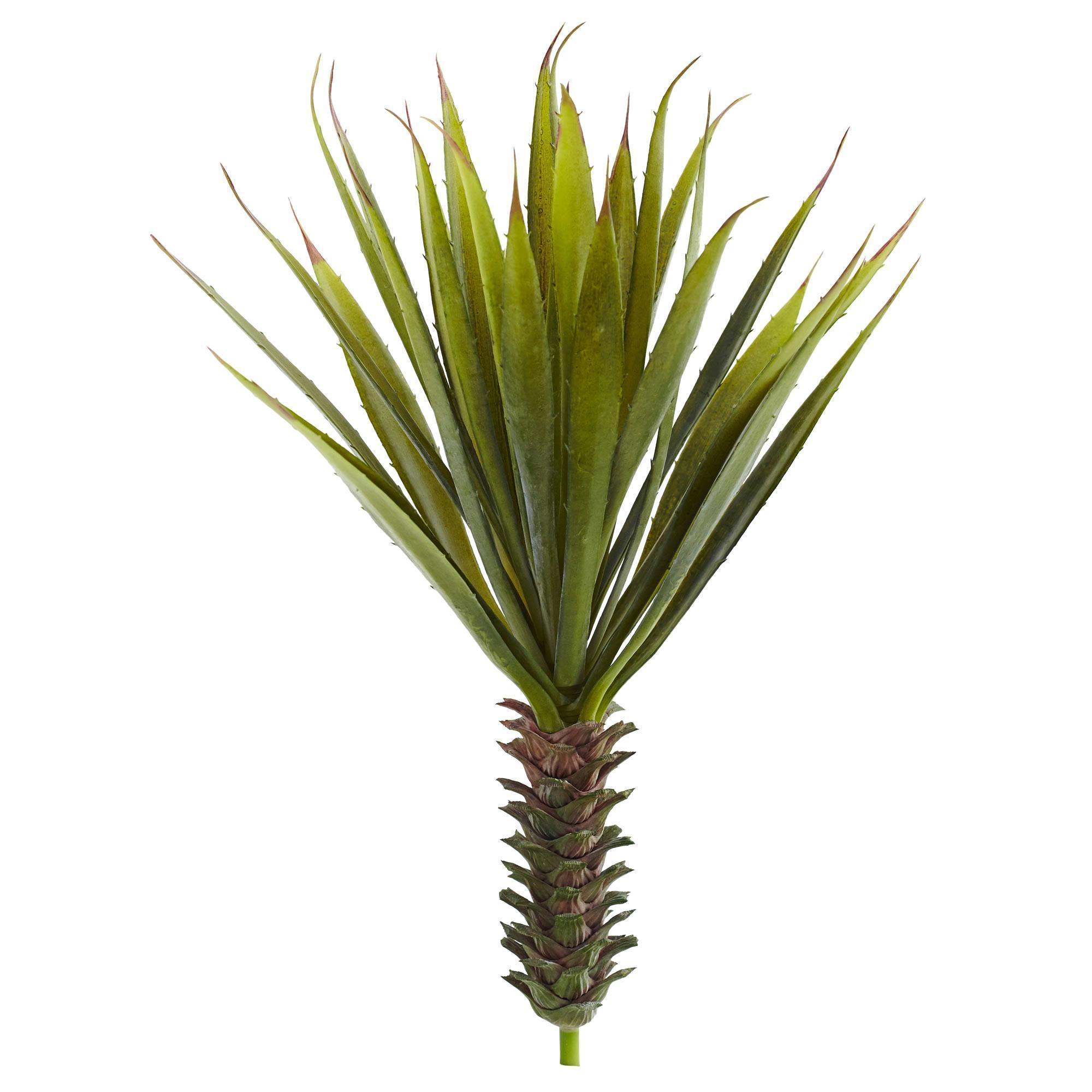 Spiky Agave Succulent Plant (Set of 2) | SilkBlume