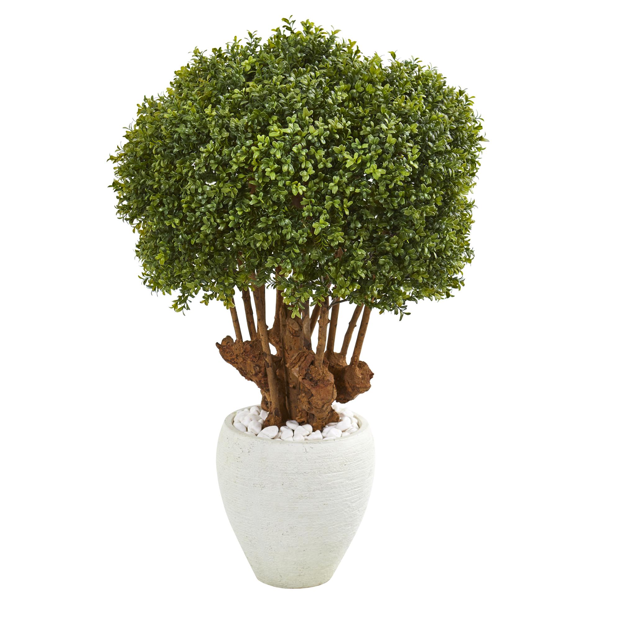 41" Boxwood Topiary Tree in White Planter (Indoor-Outdoor) | SilkBlume