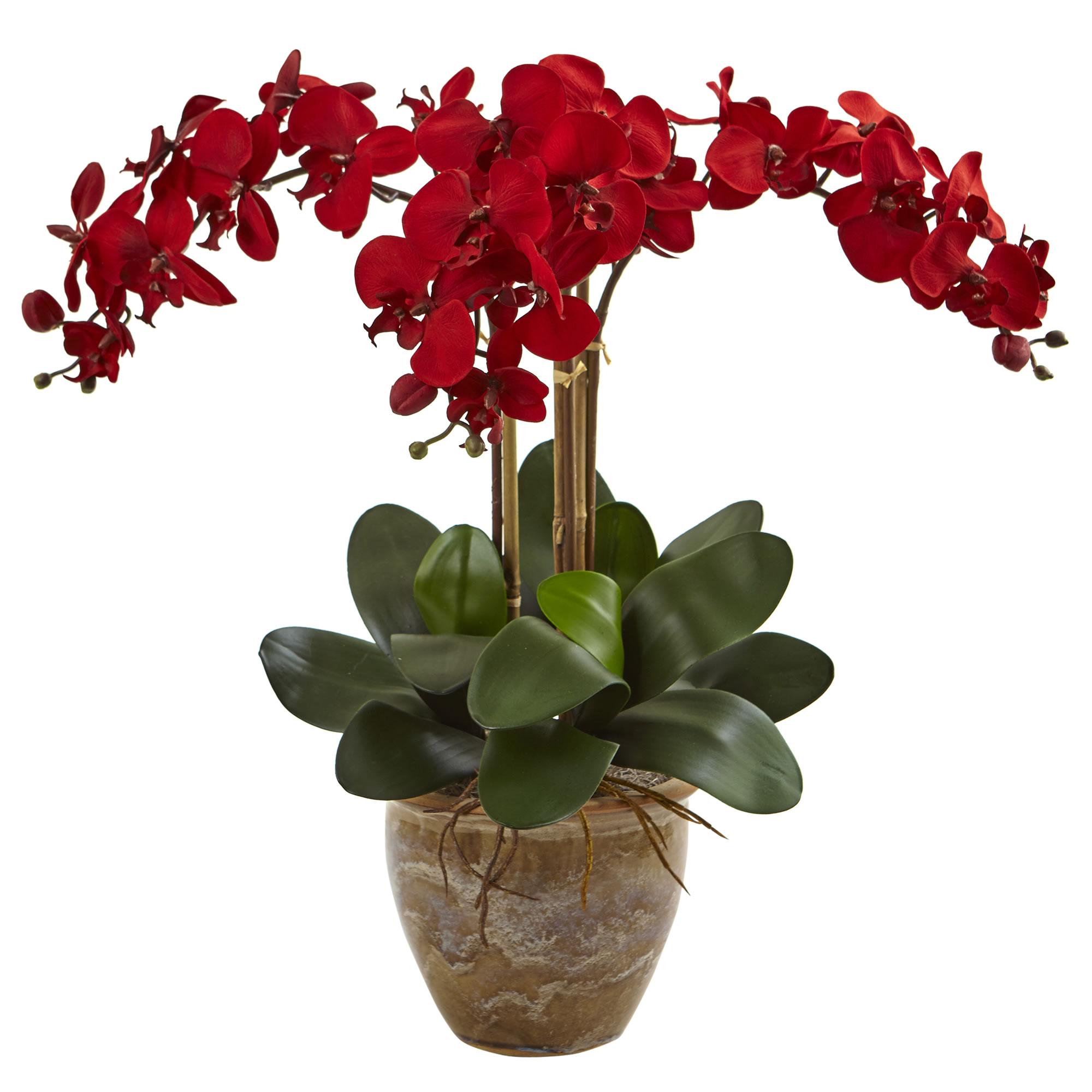 27" Seasonal Triple Phalaenopsis Orchid Arrangement Red | SilkBlume